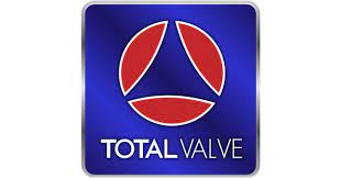 LCM and Total Valve announce partnership - Industrial Valve News
